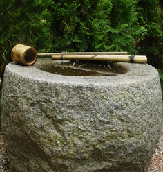 Daily Tao / 334 – Dipper – my mostly unfabulous life